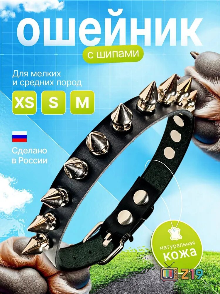 Кожаный ошейник с шипами для собак