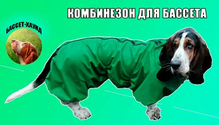 Теплый комбинезон для бассета суки, на флисе, повышенной прочности, цвет зеленый