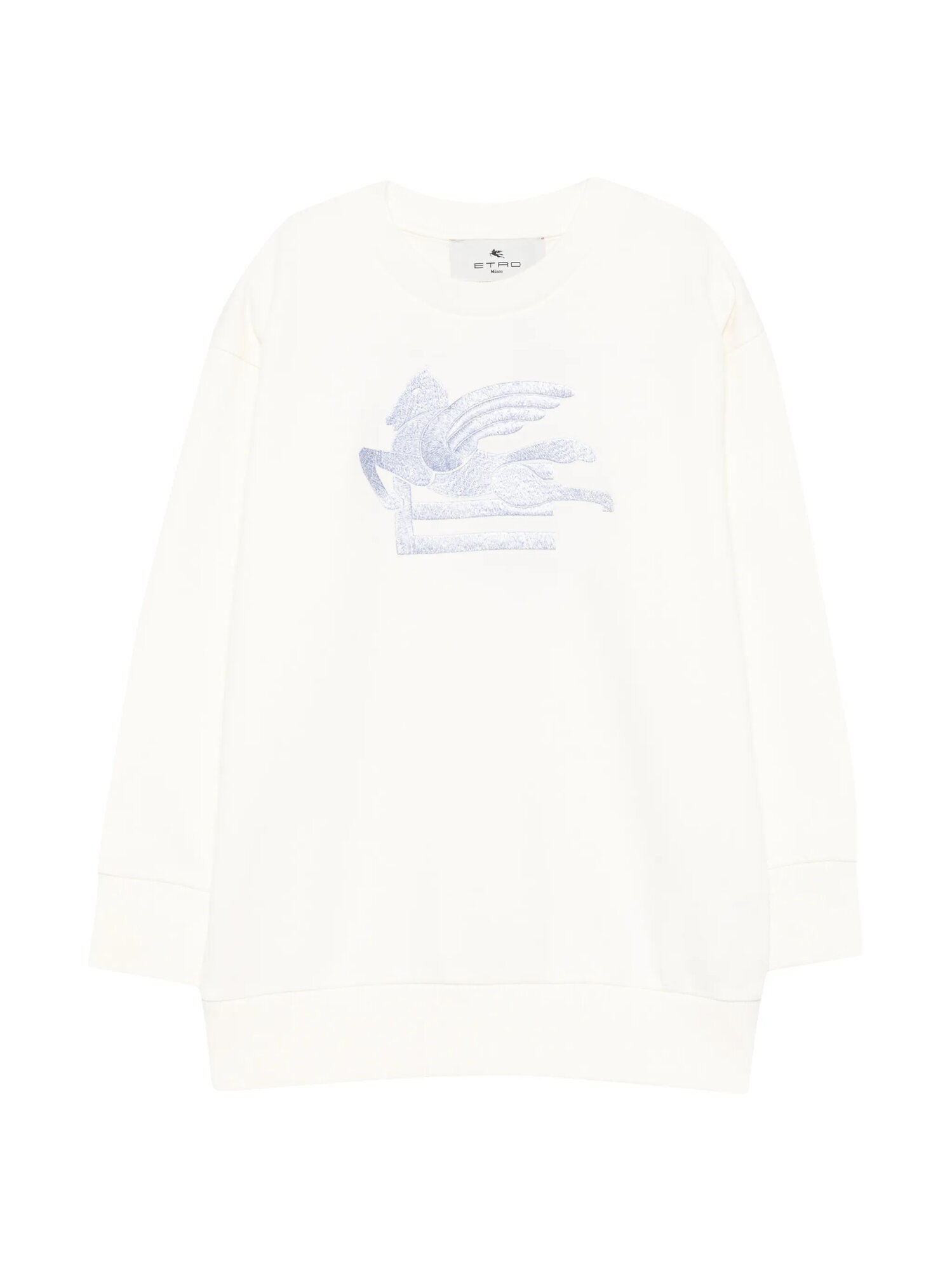 Толстовка Pegasus