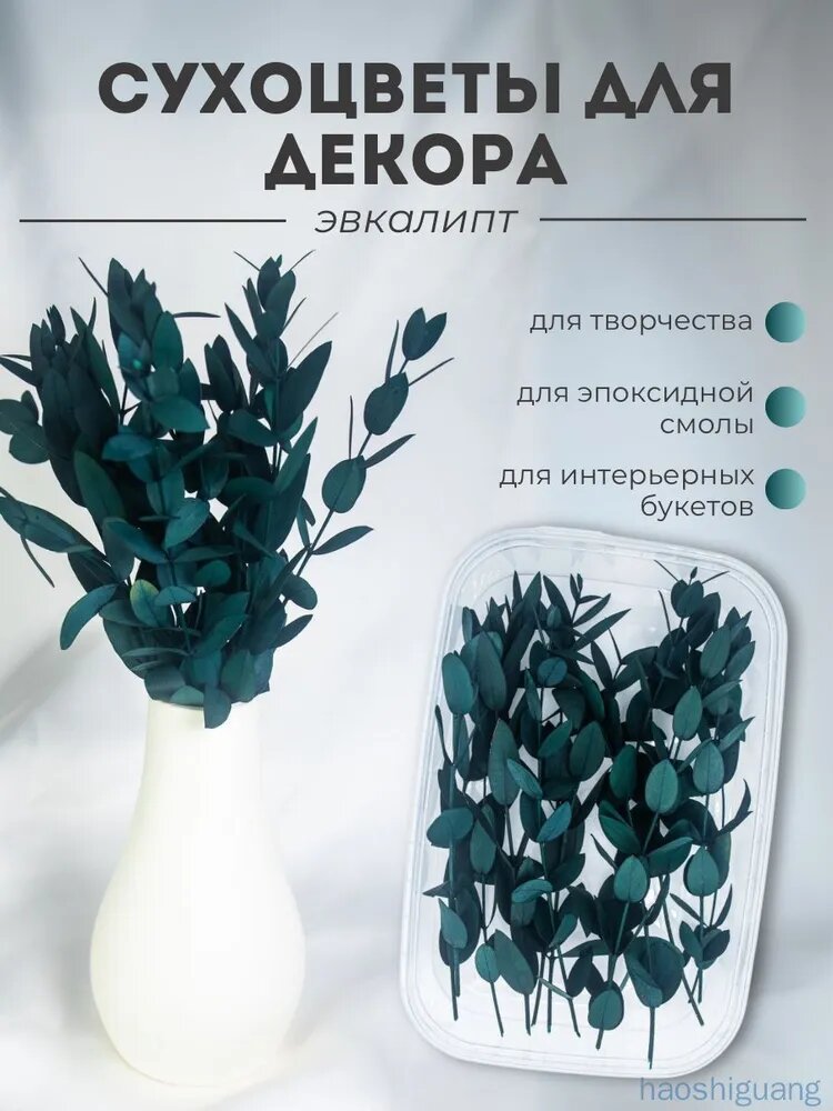 Сухоцветы Эвкалипт, 1 шт