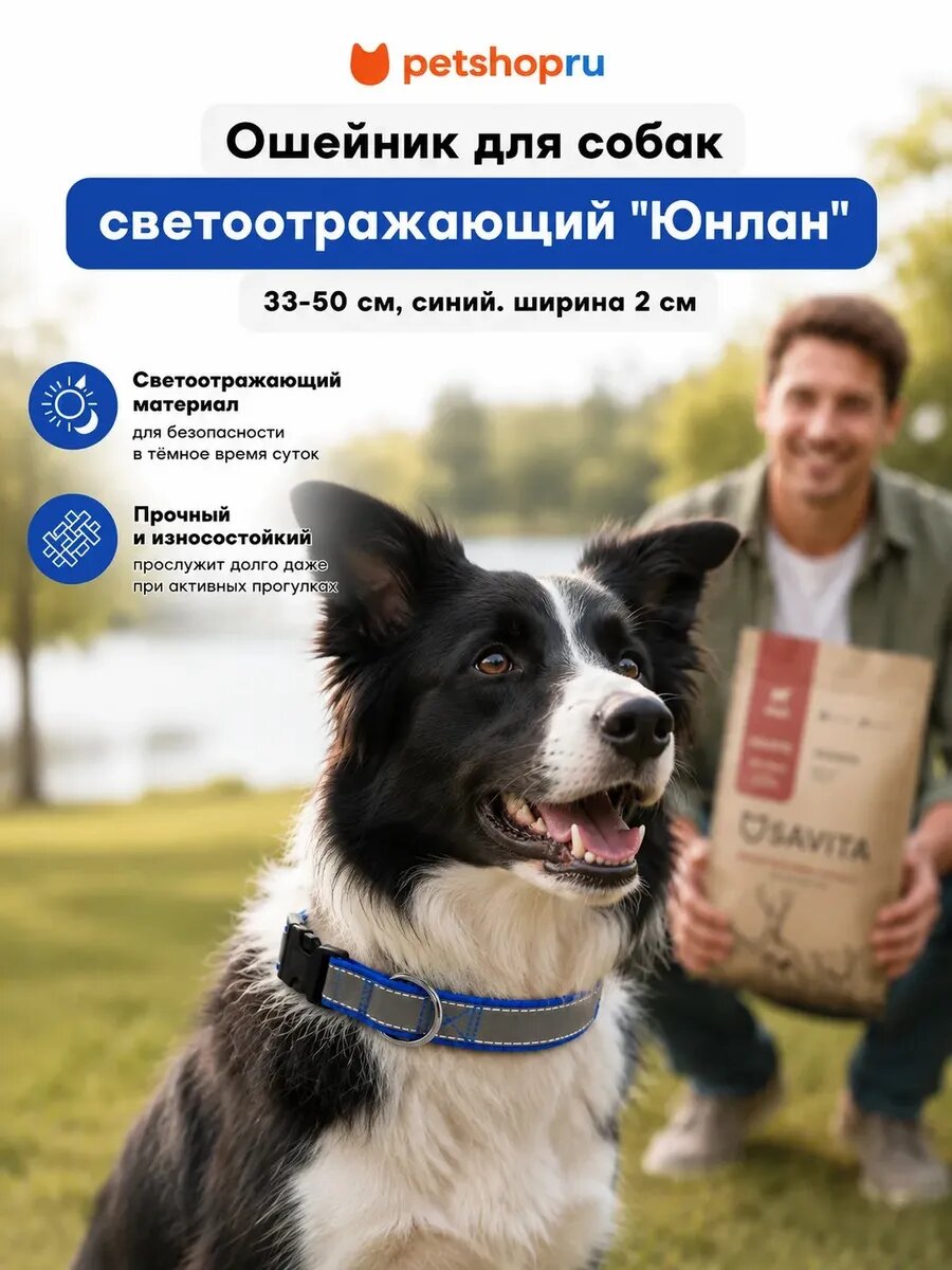 Tappi Ошейник для собак светоотражающий "Юнлан", 33-50 см