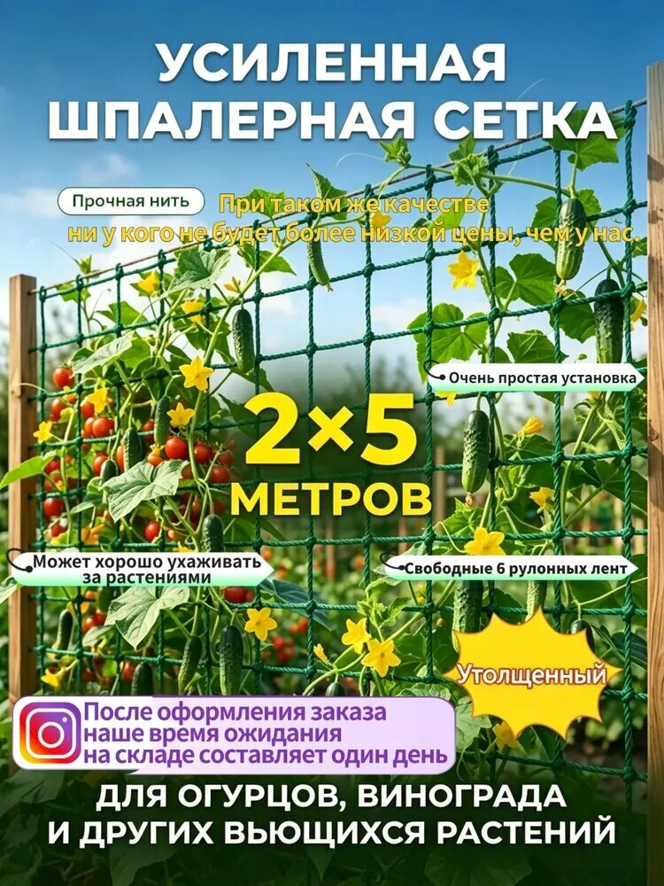 Сетка садовая ограждающая, Пластик,60г/кв. м,5х2м