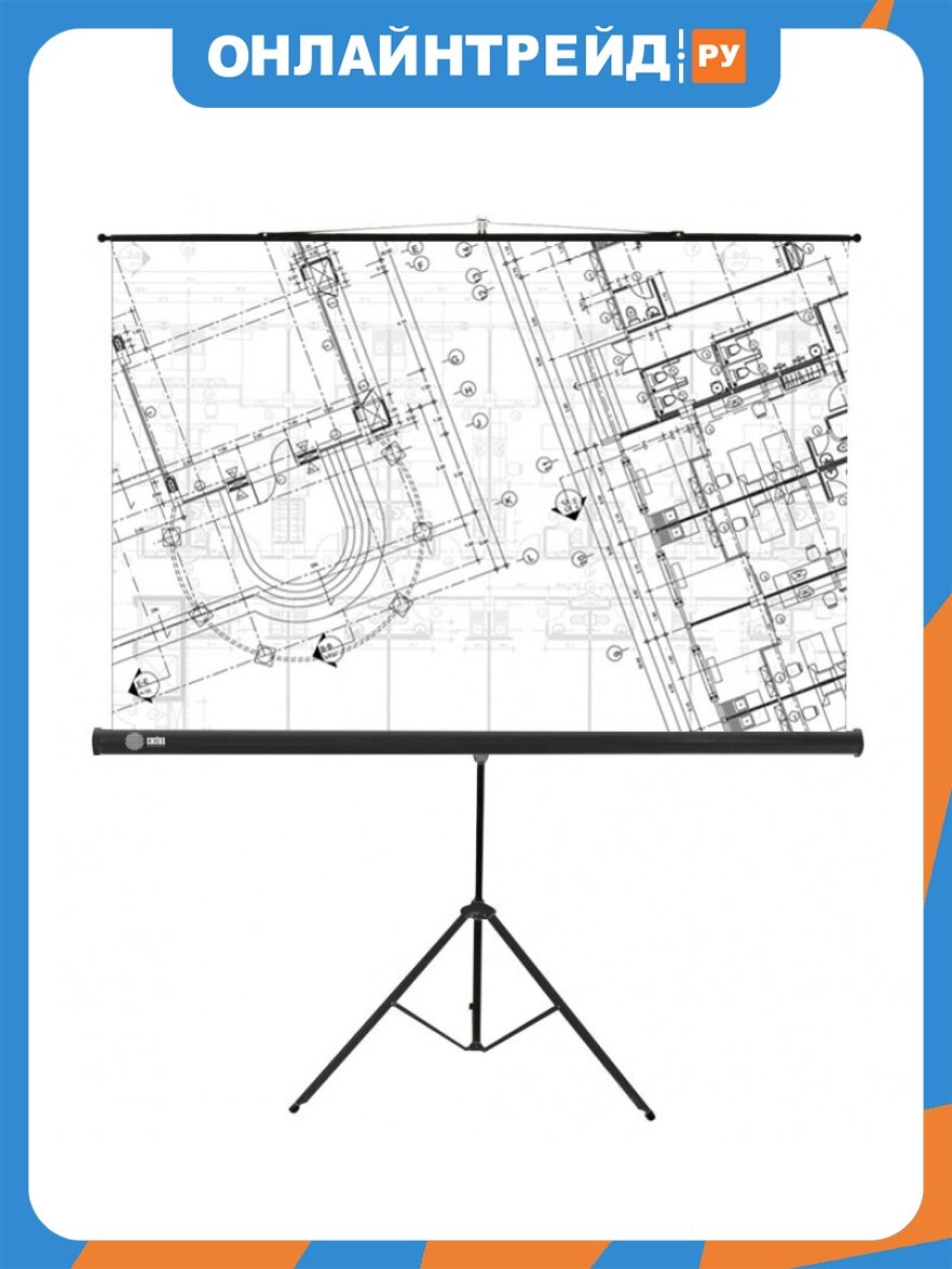 Экран Cactus 127x127см Triscreen CS-PST-127X127 1:1 напольный рулонный белый