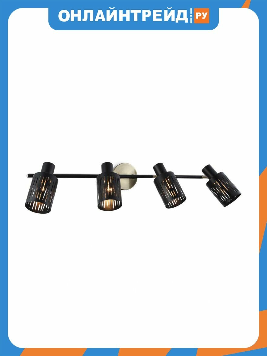 Настенно-потолочный спот Ambrella Light TRADITIONAL TR8670