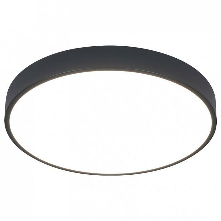 Потолочный светильник Arte Lamp Arena A2661PL-1BK цвет плафона подвески Прозрачный, цвет арматуры Черный