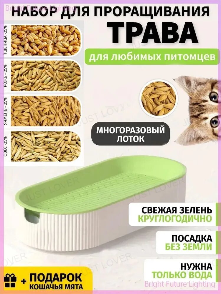 Миска для животных