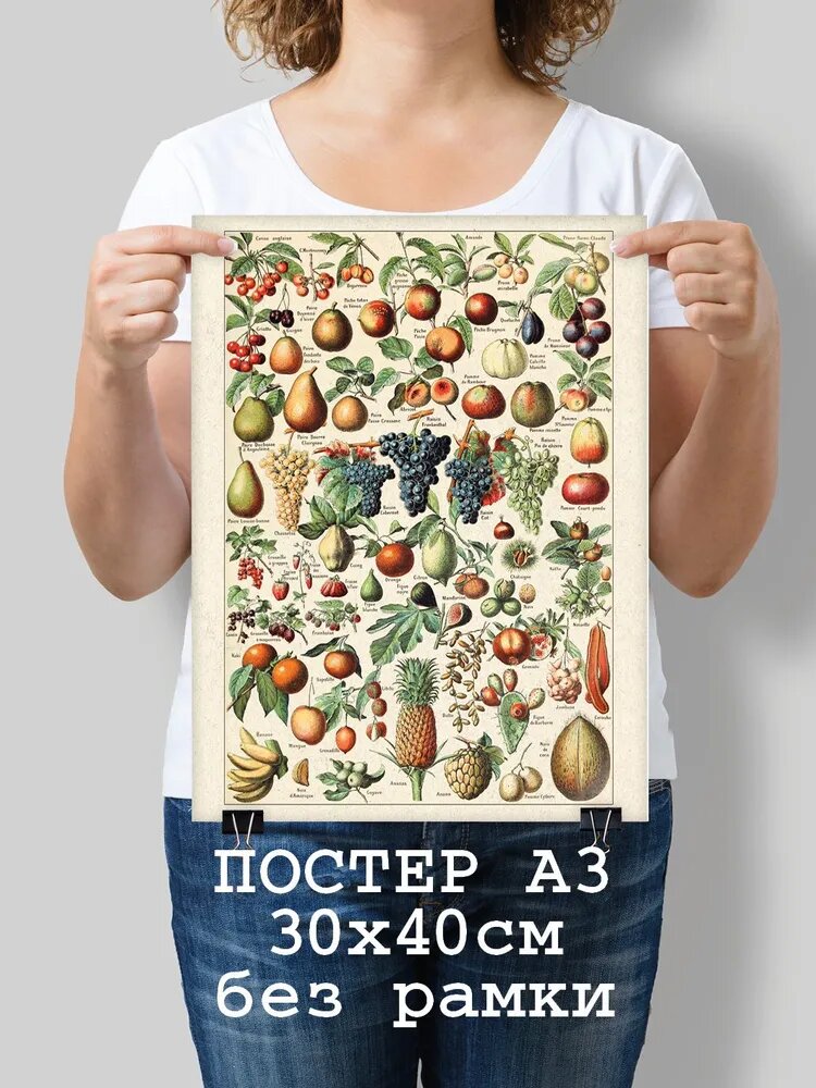 Постер, 40 см х 30 см — фото 1