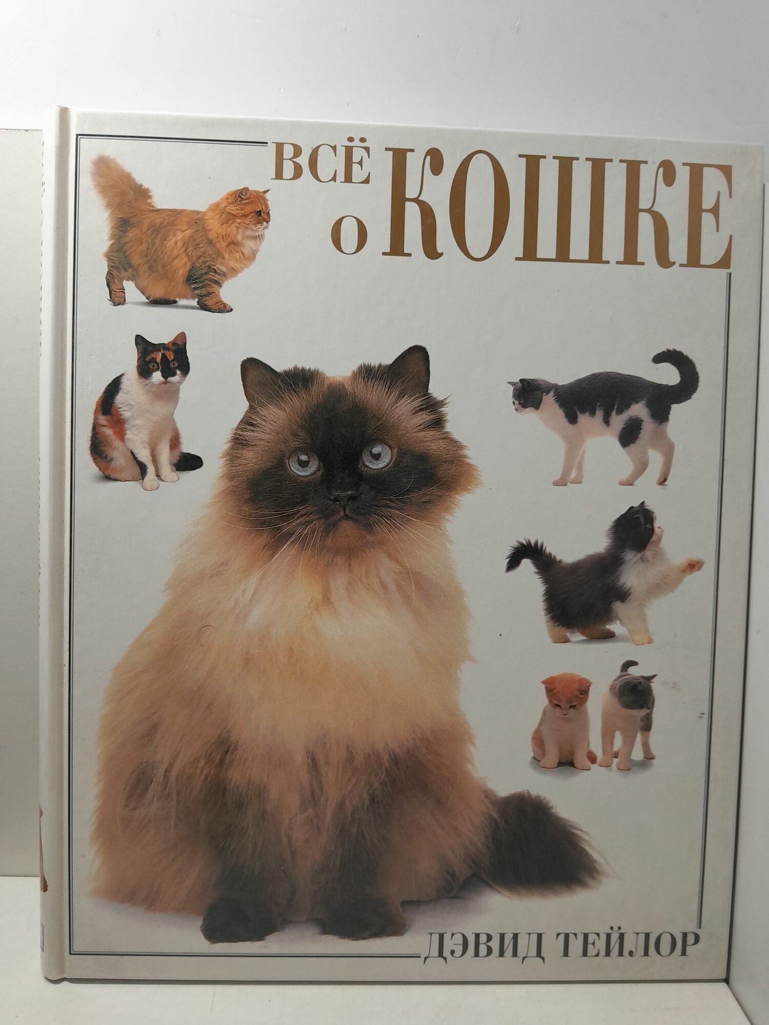 Все о кошке / Дэвид Тейлор