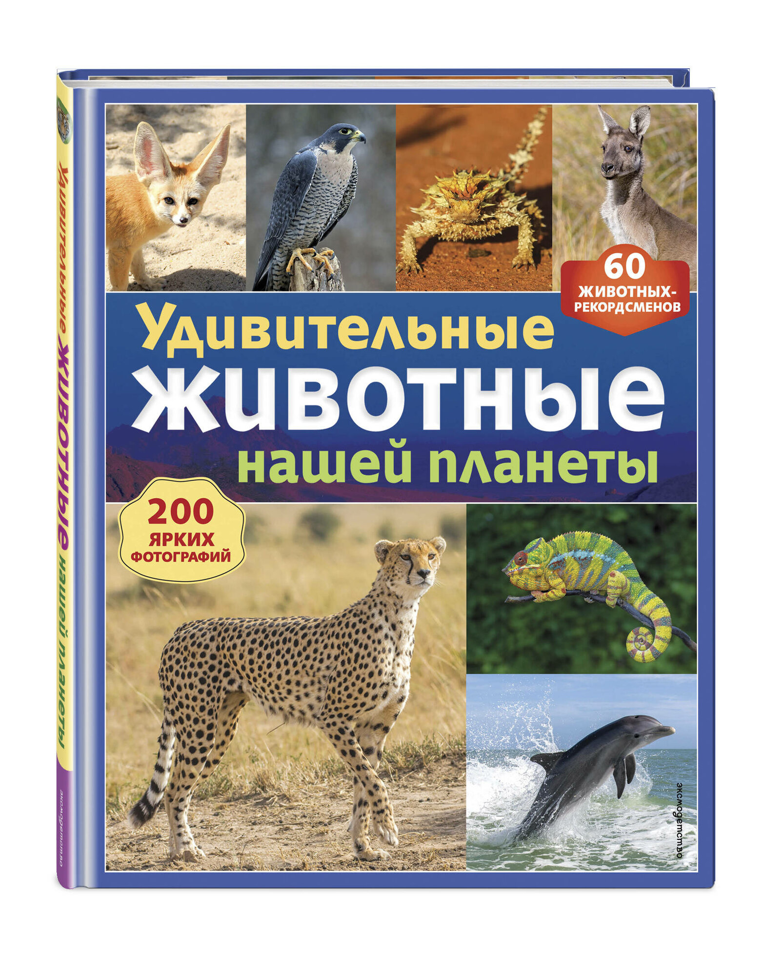 Удивительные животные нашей планеты