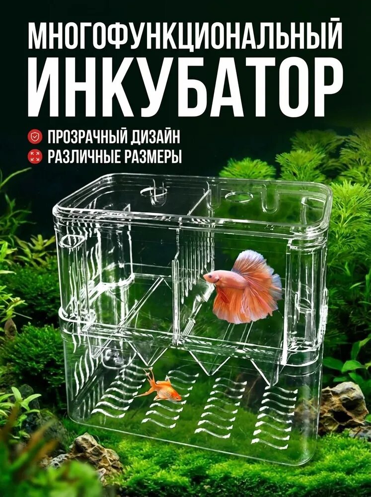 Инкубатор для икры рыб, изолятор для мальков гуппи и петушков, аквариумная коробка для разведения, пластиковая прозрачная, с подвесом и отверстиями для аэрации