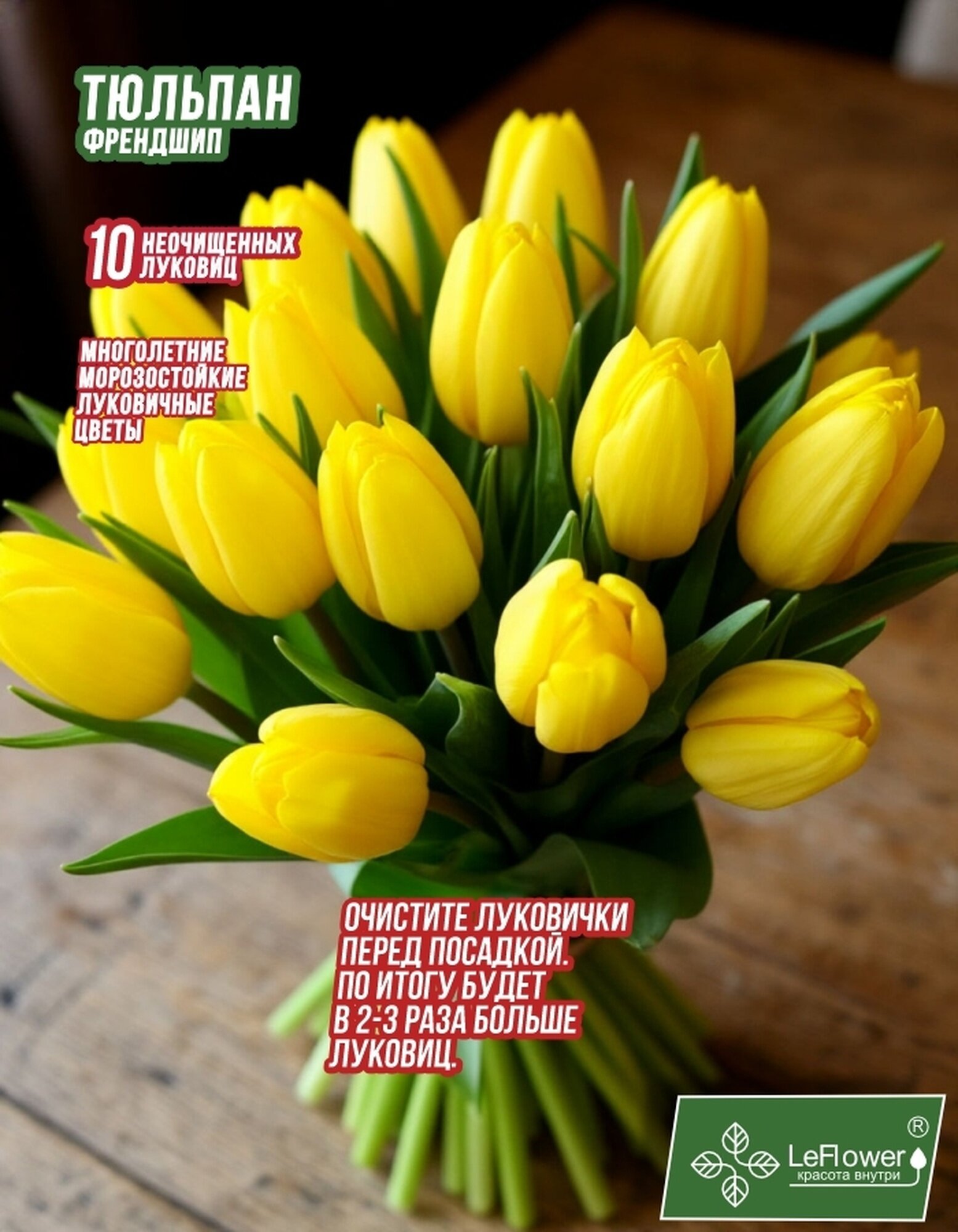 Тюльпан LeFlower "Френдшип 1998", многолетник, высота до 55 см, 10 шт