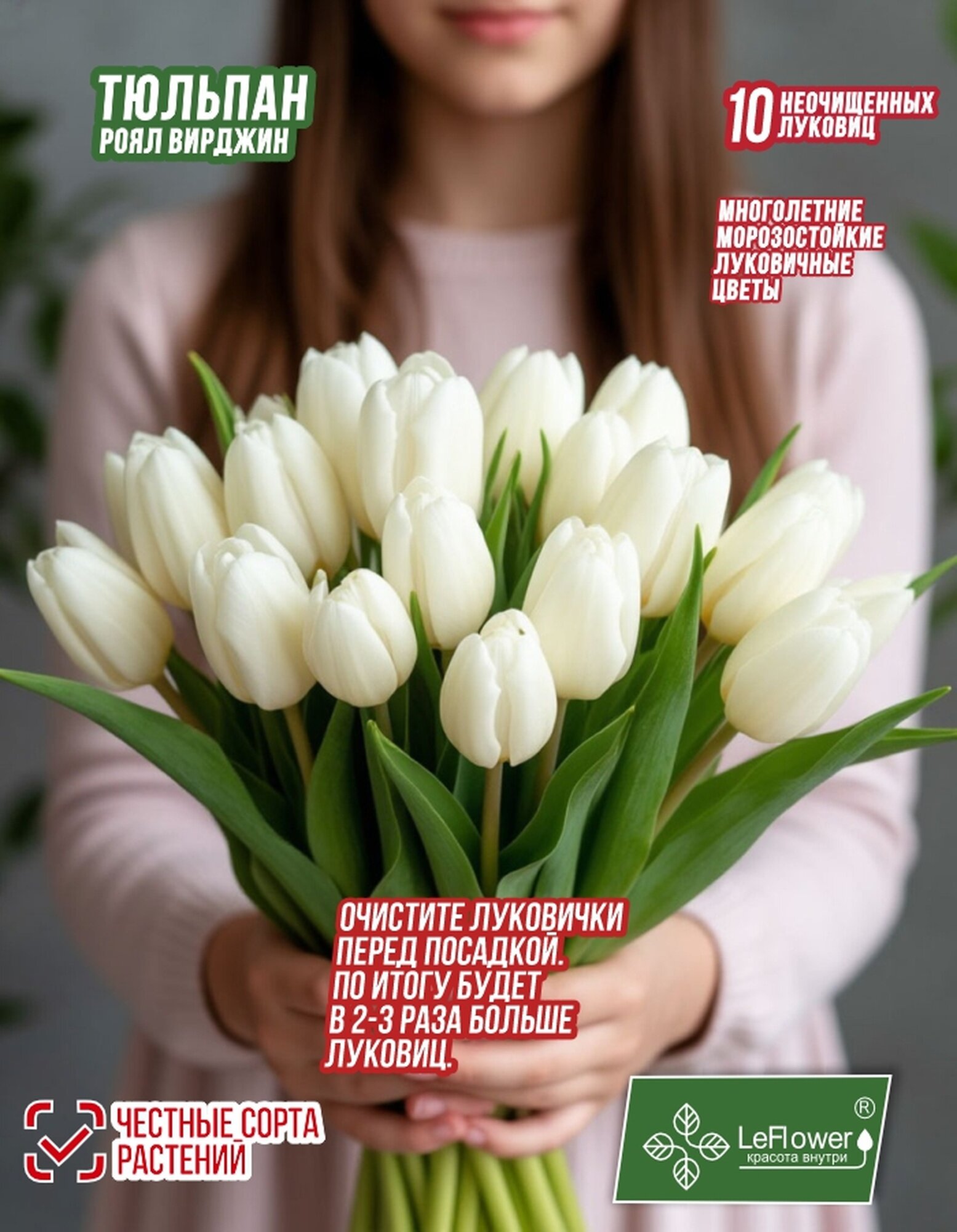Тюльпан Луковица, Роял вирджин 5 шт