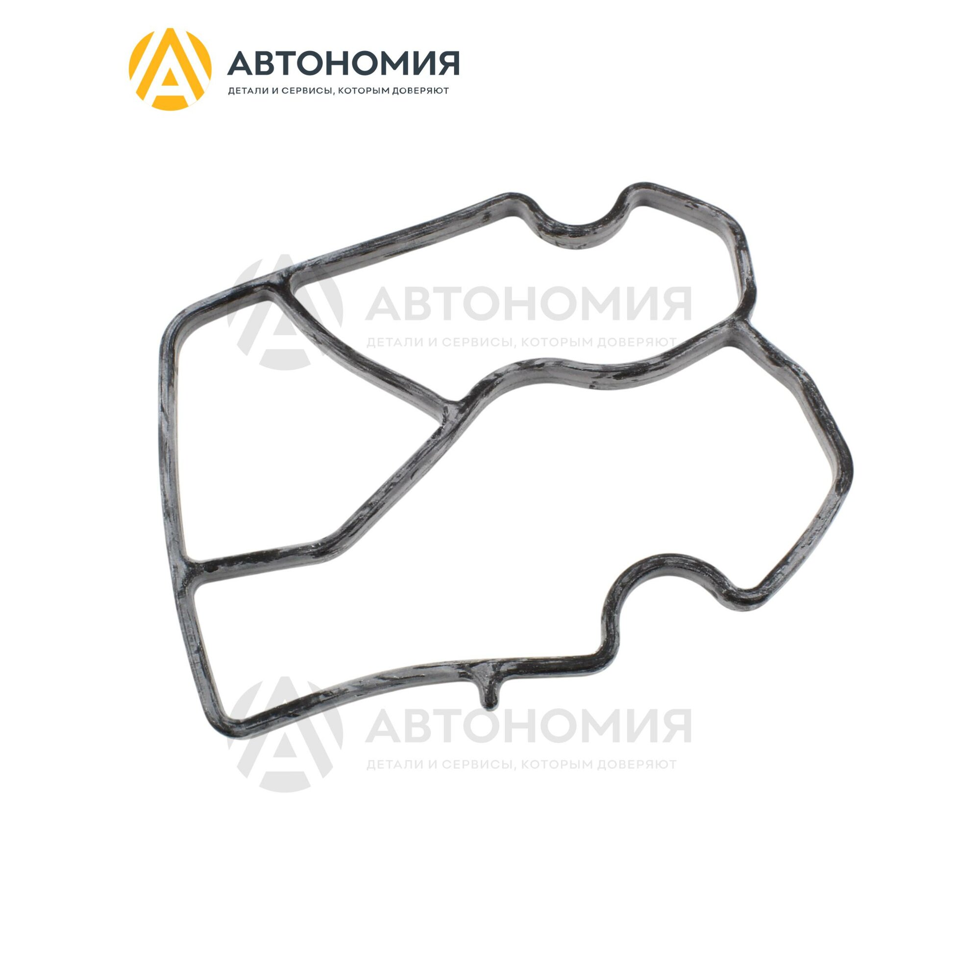 Прокладка корпуса масляного фильтра BMW 11 42 2 247 016