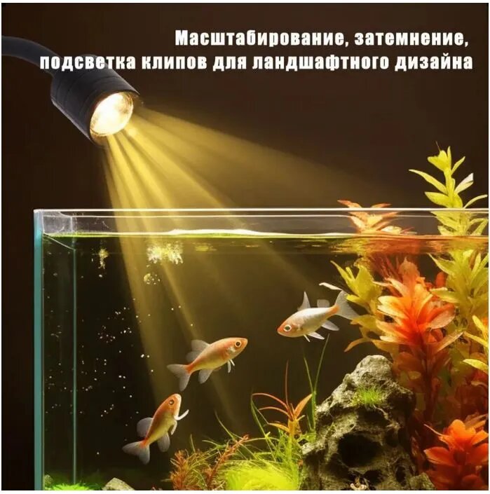 USB mini-лучевая лампочка специально для южноамериканского аквариума с видом на аквариум