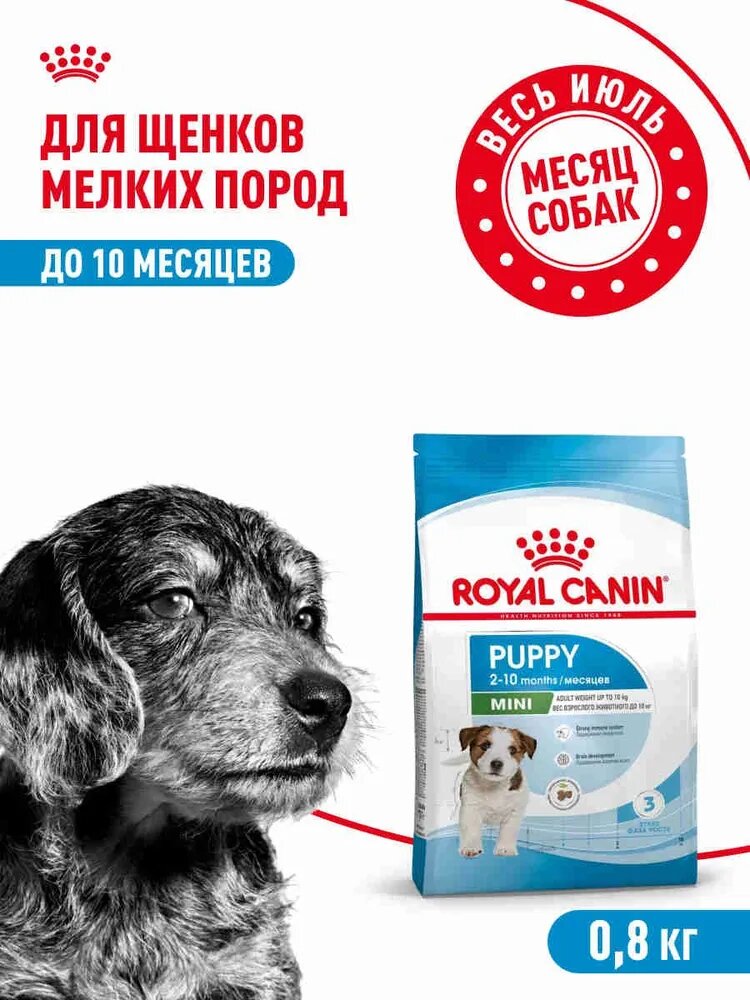 Сухой корм для щенков Royal Canin Mini Puppy для мелких пород, 800 г