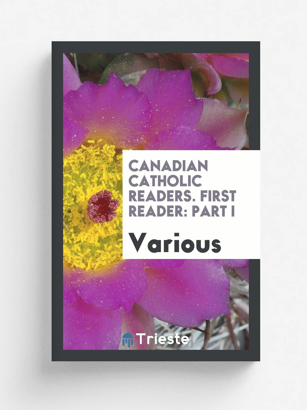 Canadian Catholic readers. First reader. part I