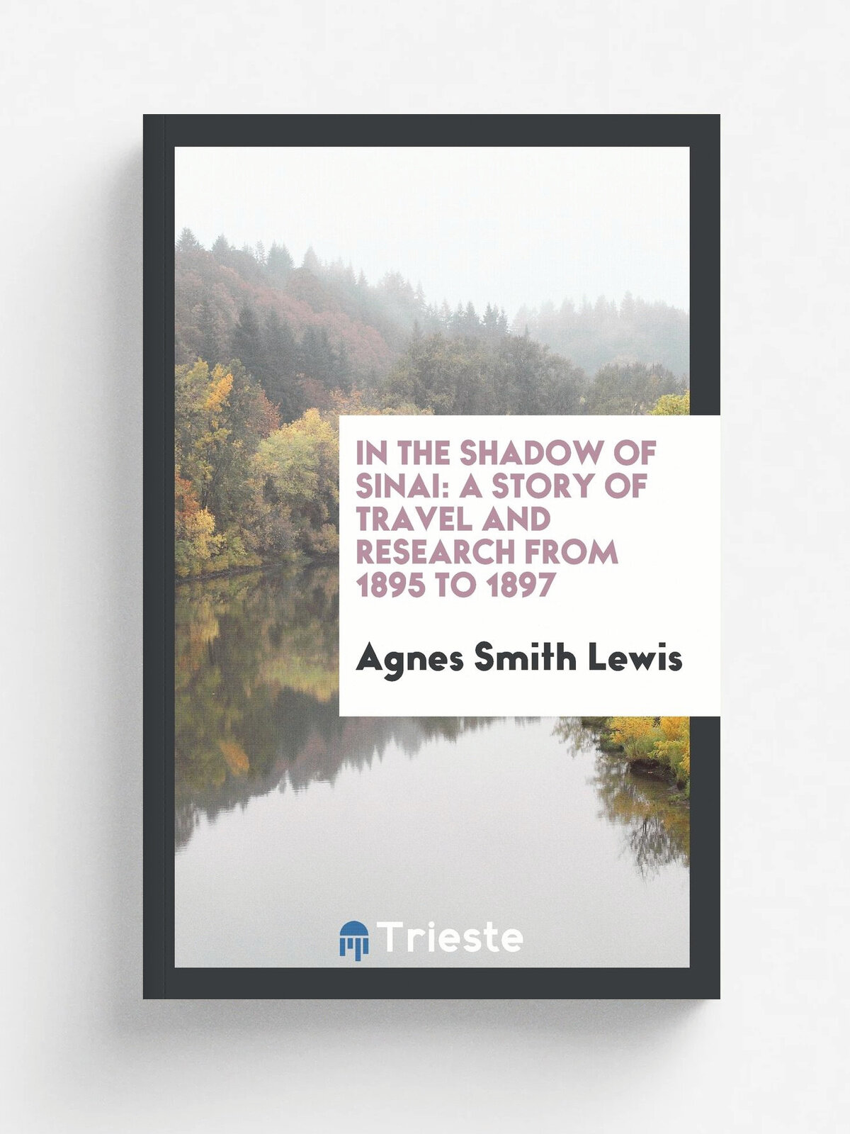 In the Shadow of Sinai. A Story of Travel and Research from 1895 to 1897
