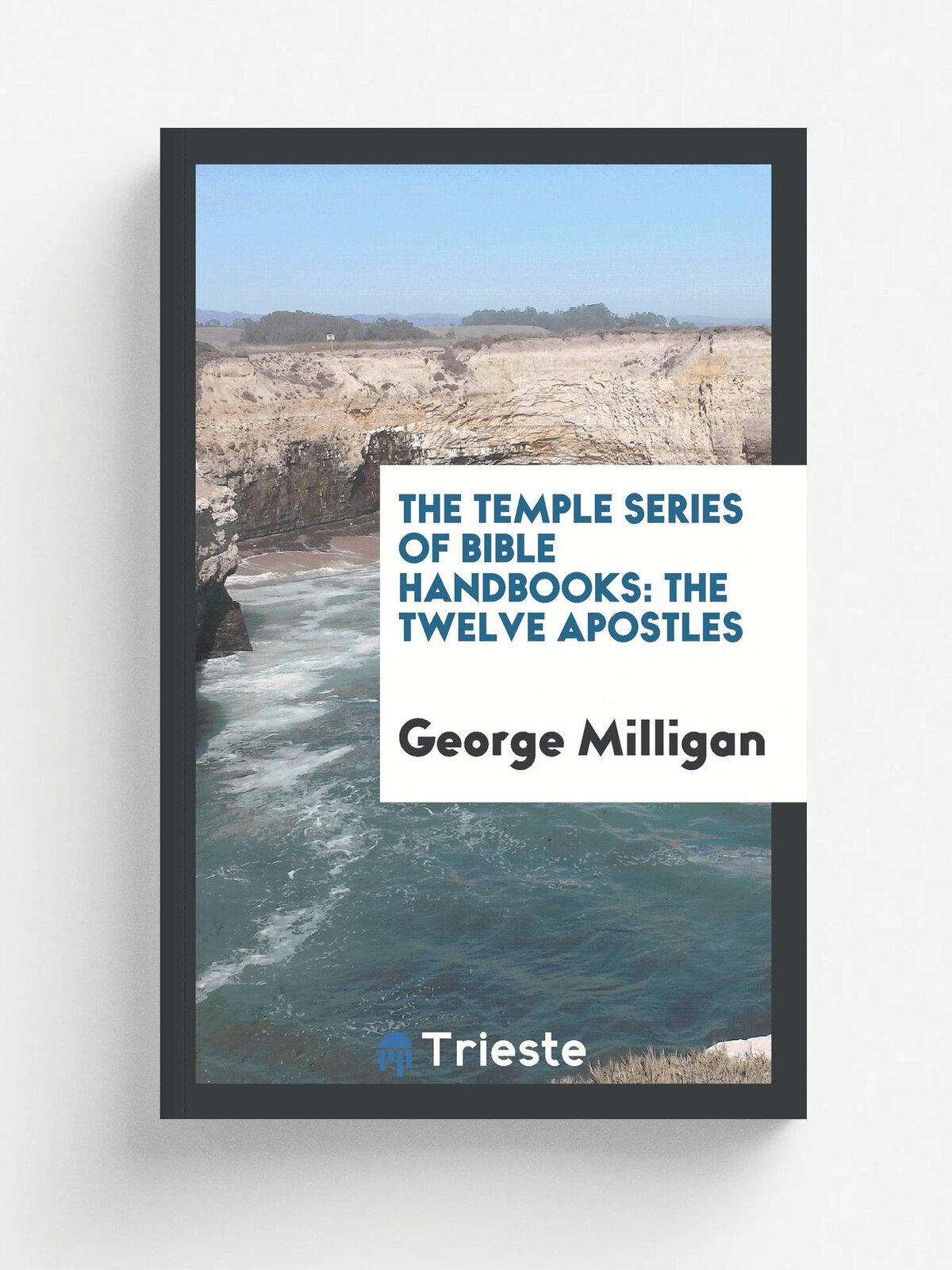 The twelve apostles