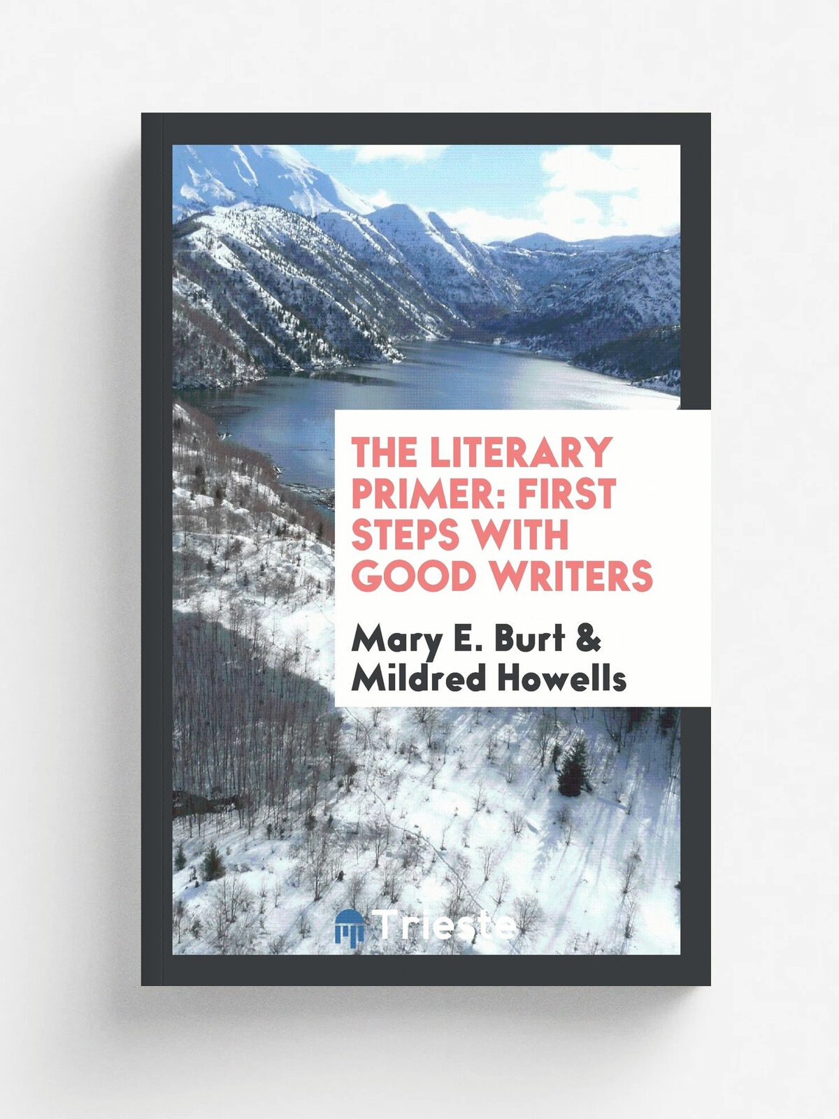 The Literary Primer. First Steps with Good Writers
