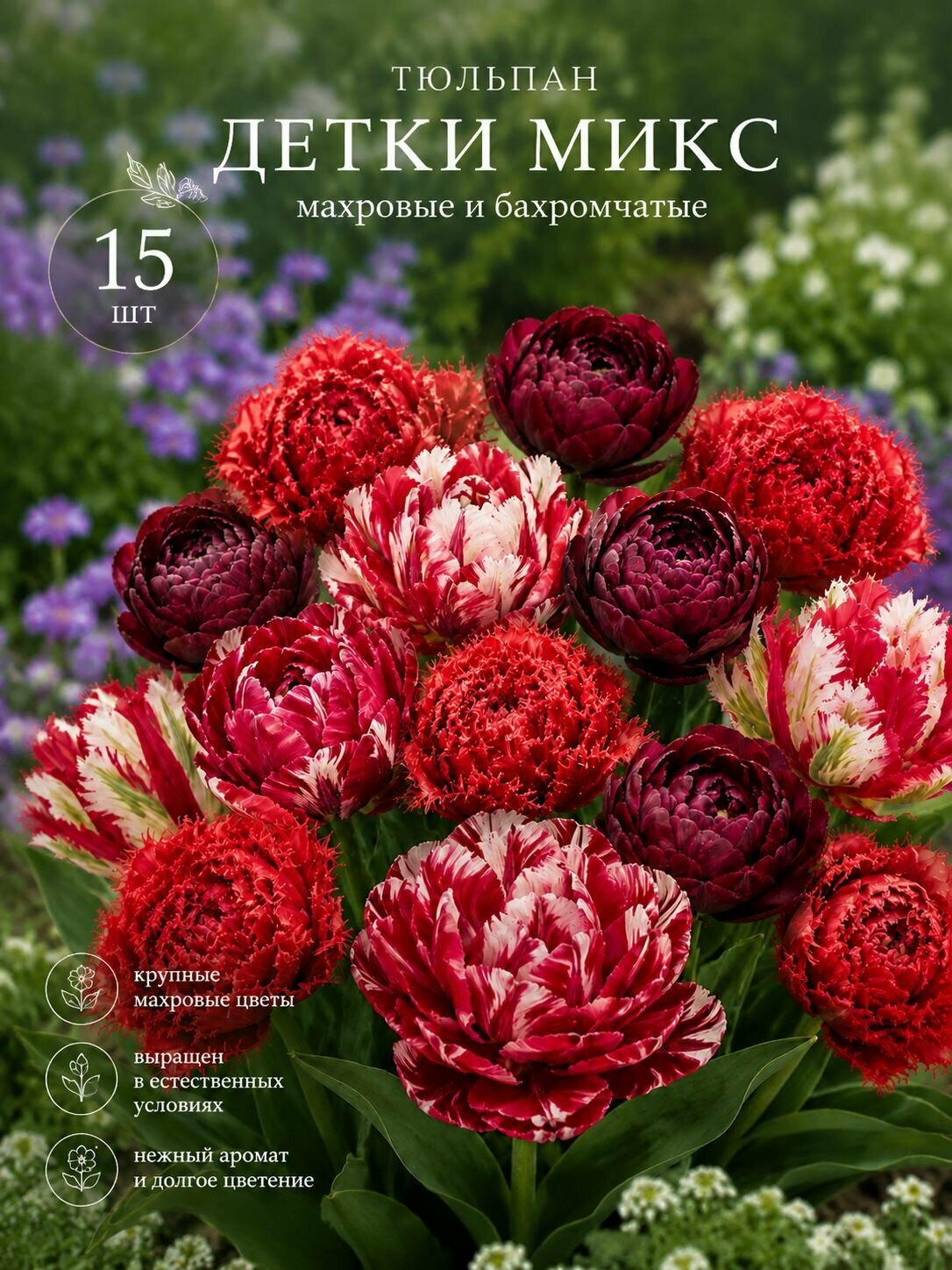 Луковицы многолетние "Детки Микс" , 15 шт