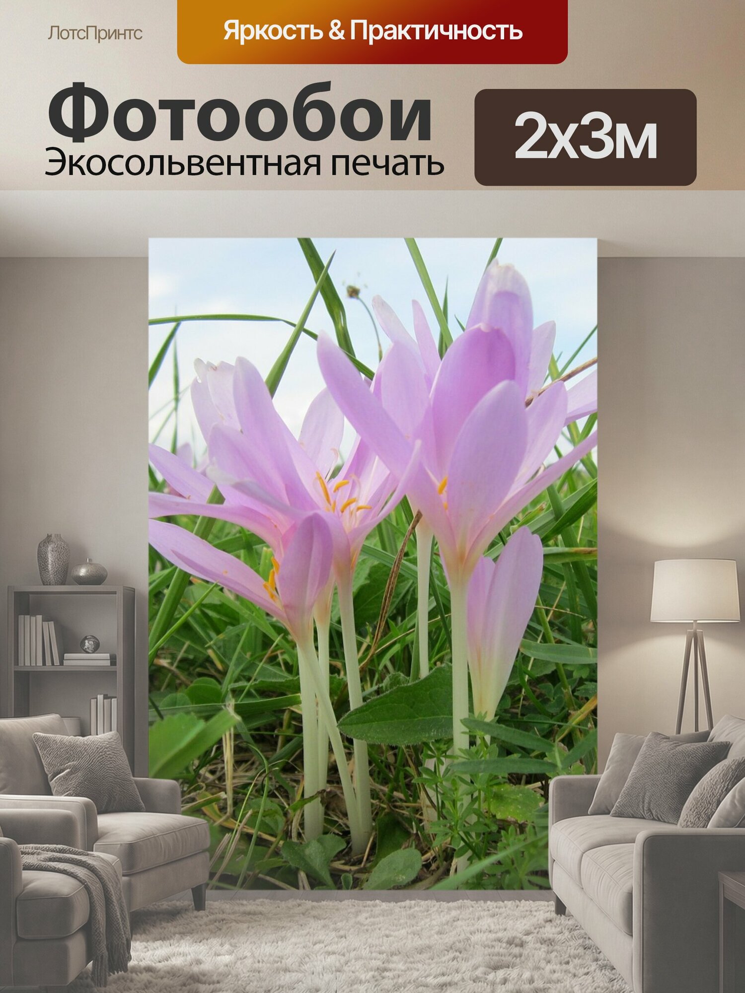 Фотообои "Безвременник осенний, завод, растения" 200x300 см. экосольвентная печать