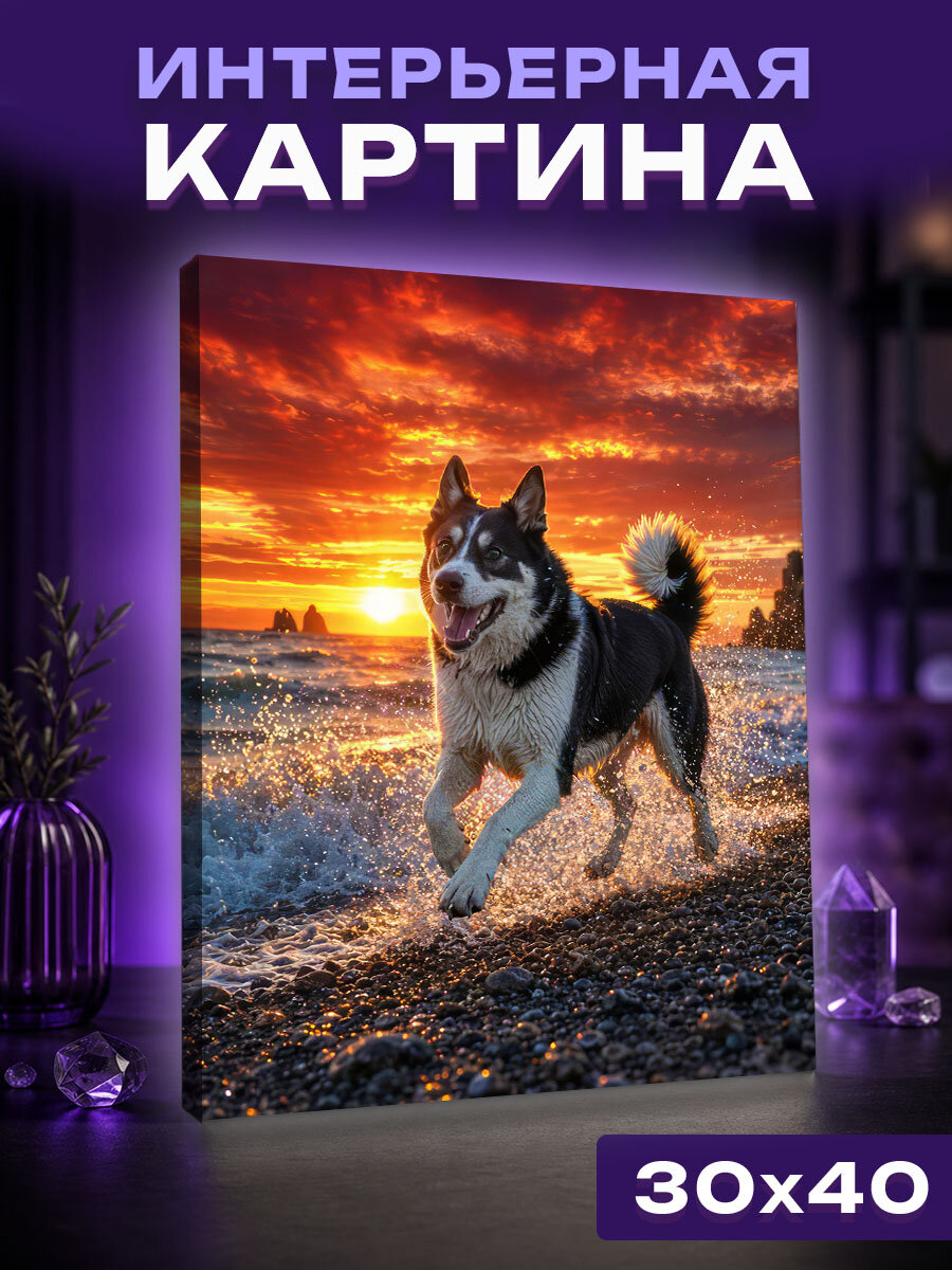 Интерьерная картина Лайка бежит по воде при северном закате