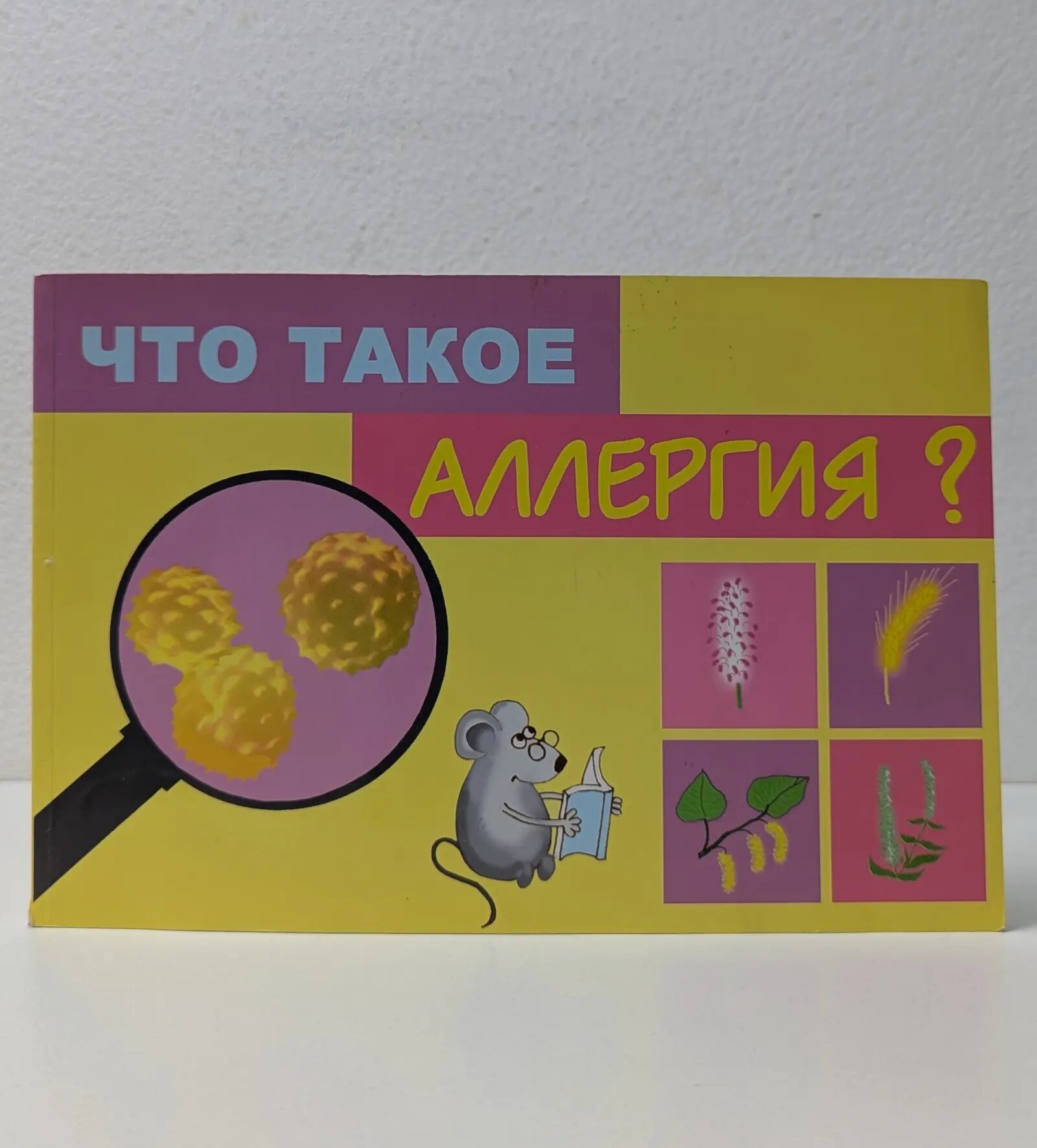 Что такое аллергия? Феденко Елена Сергеевна, Ильина Наталья Ивановна 2005