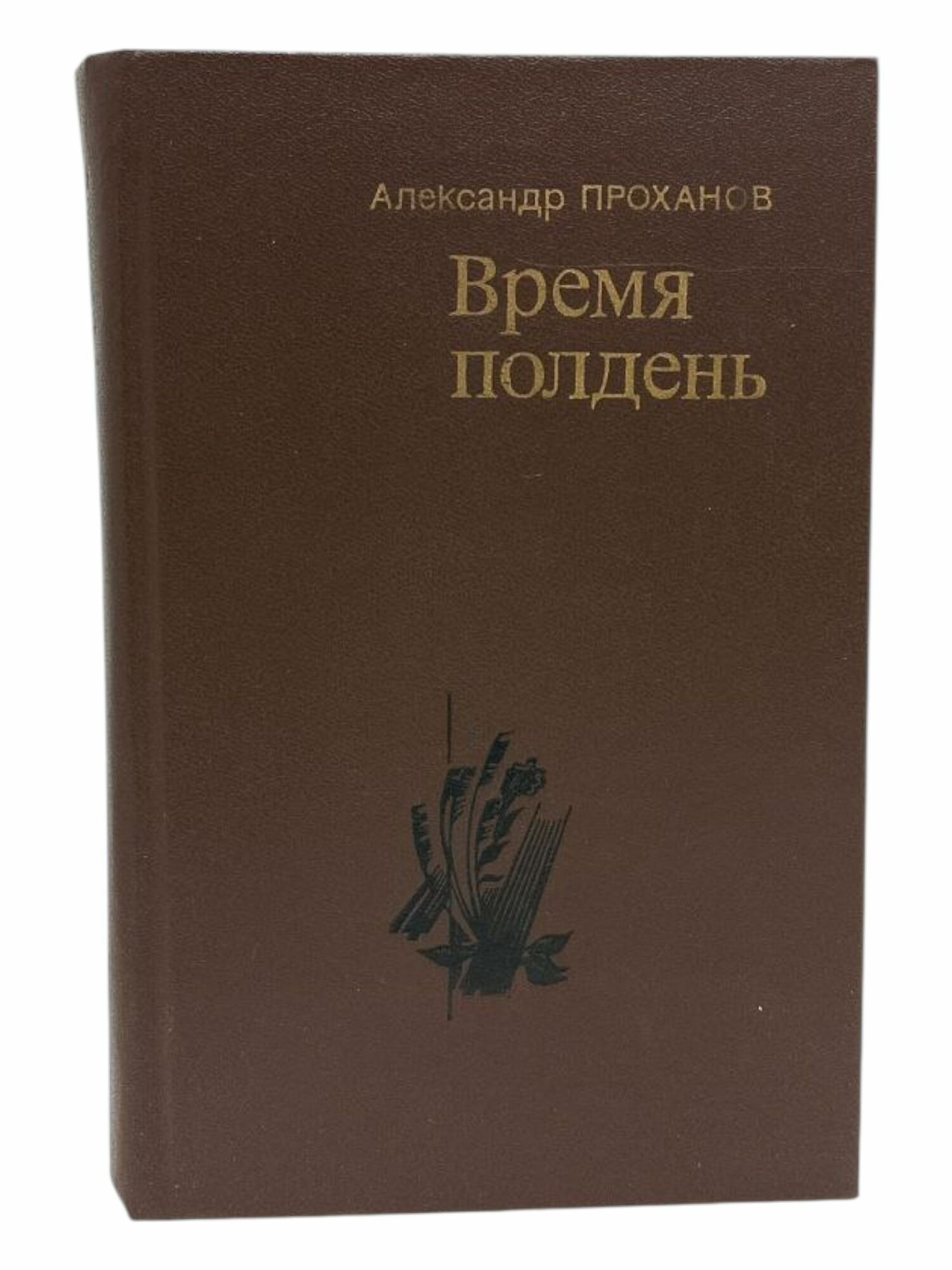 Время полдень — фото 1