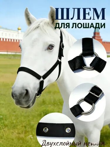 Недоуздок для лошади FULL для коня