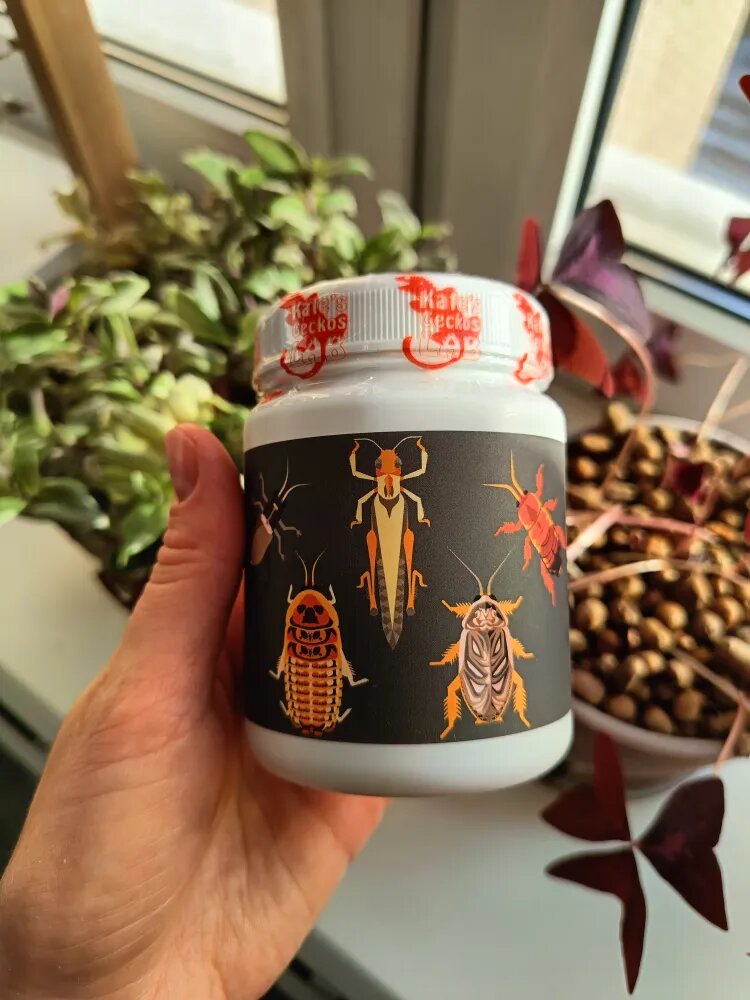Kates Geckos Lab Entomo Gel diet, Высокопитательный и легкоусвояемый корм на основе насекомых, 100г