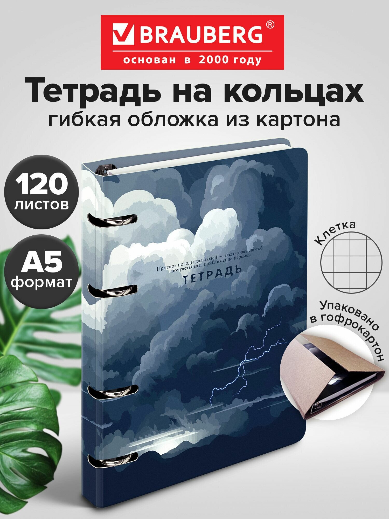 Тетрадь на кольцах А5 в клетку со сменным блоком 160х212 мм, 120 листов, обложка картон, Brauberg Clouds сменный блок а5 картонная обложка