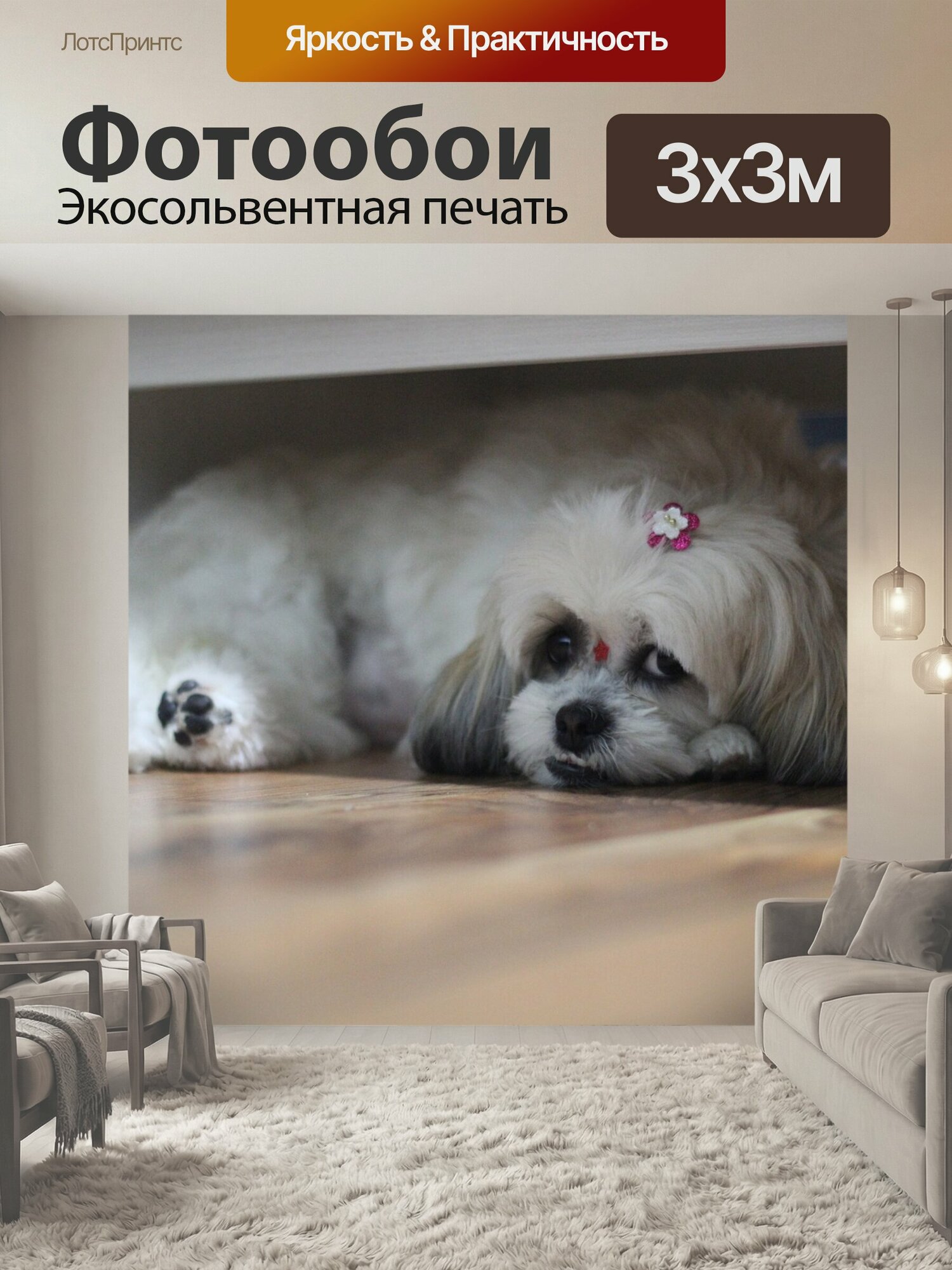 Фотообои "Pet, ши-тцу, собака" 300x300 см. экосольвентная печать
