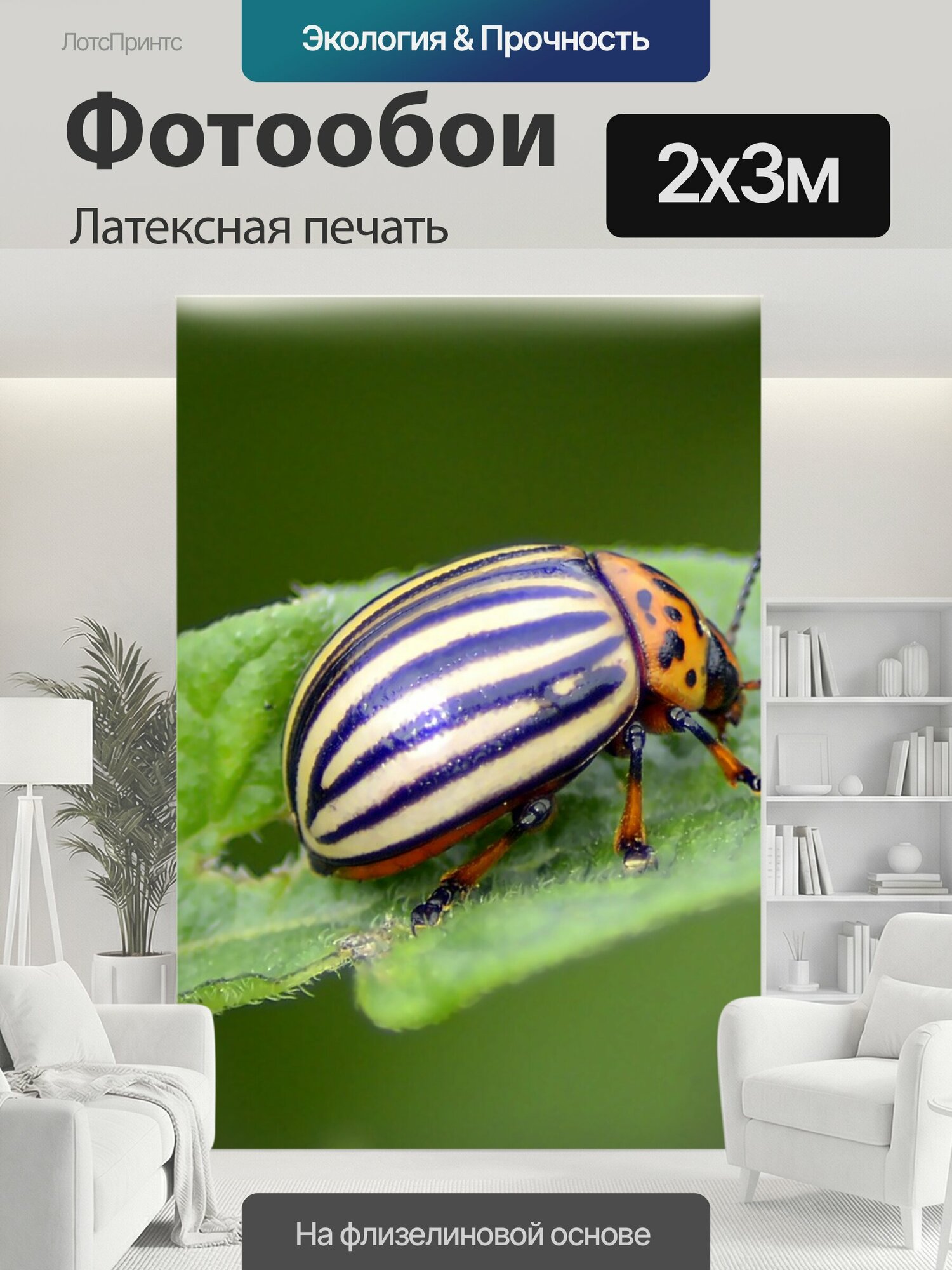 Фотообои моющиеся ударопрочные "Жук, картофельный жук, насекомое" 200x300 см. латексная печать