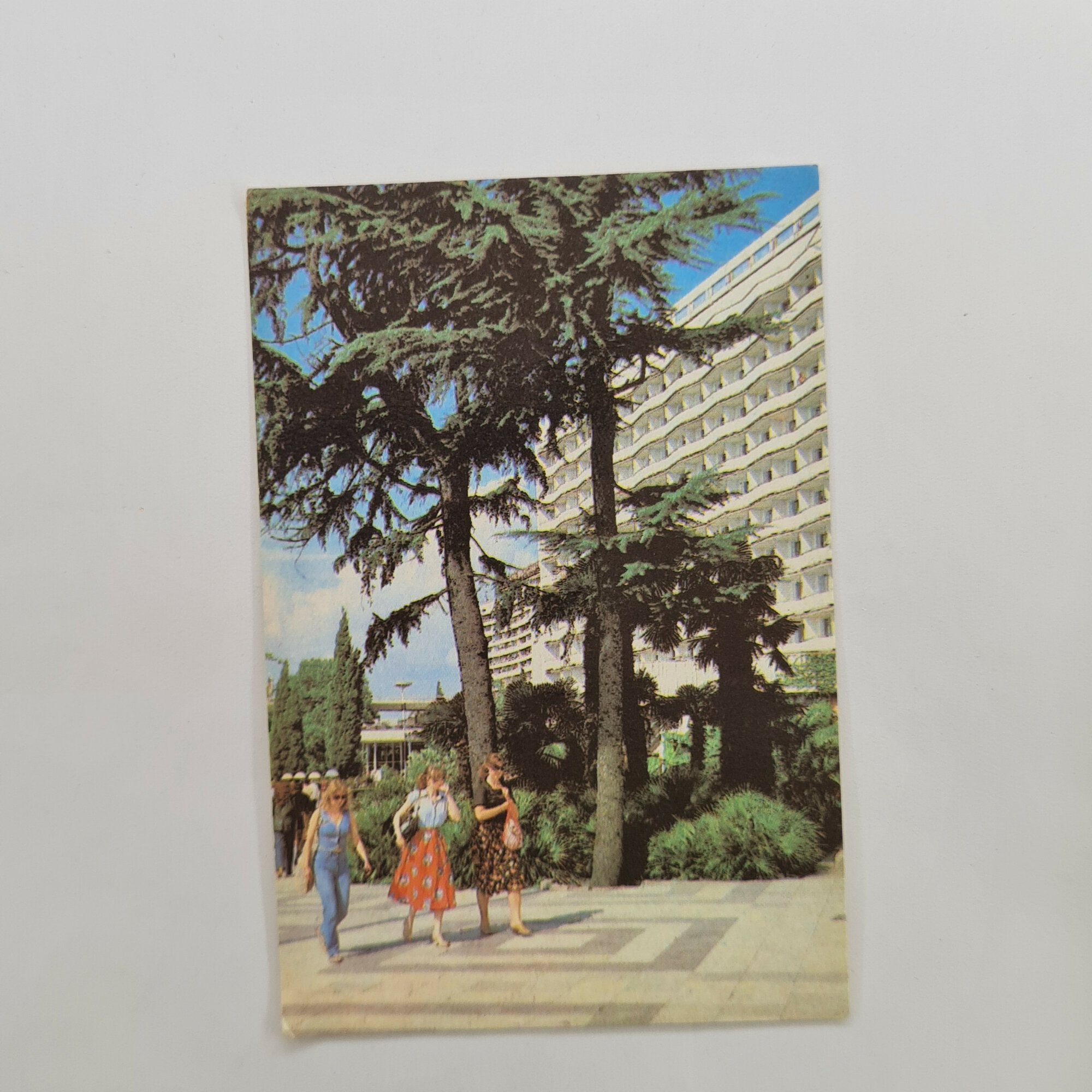 Карманный календарик 1987. Сочи, прогулка по набережной с зелеными деревьями. Календарь винтажный