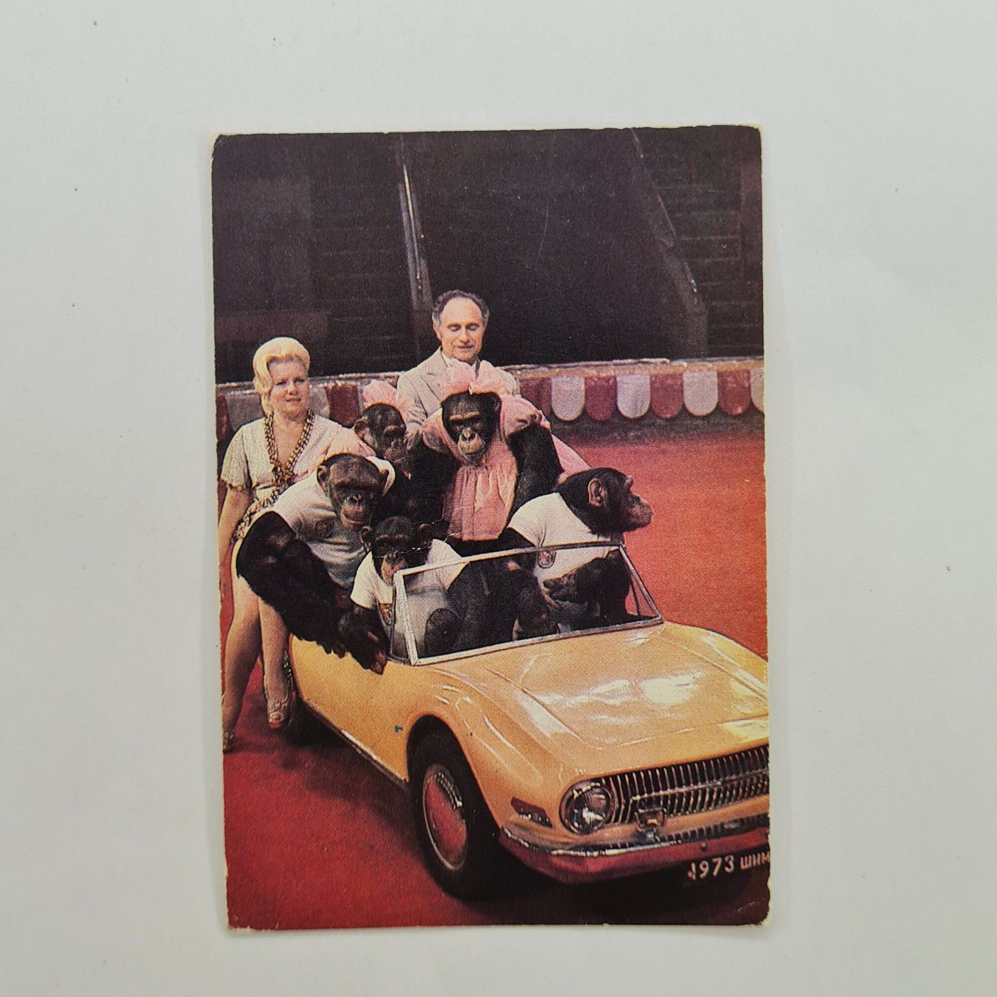 Карманный календарик 1983. Цирк, выступление животных и артистов. Календарь винтажный