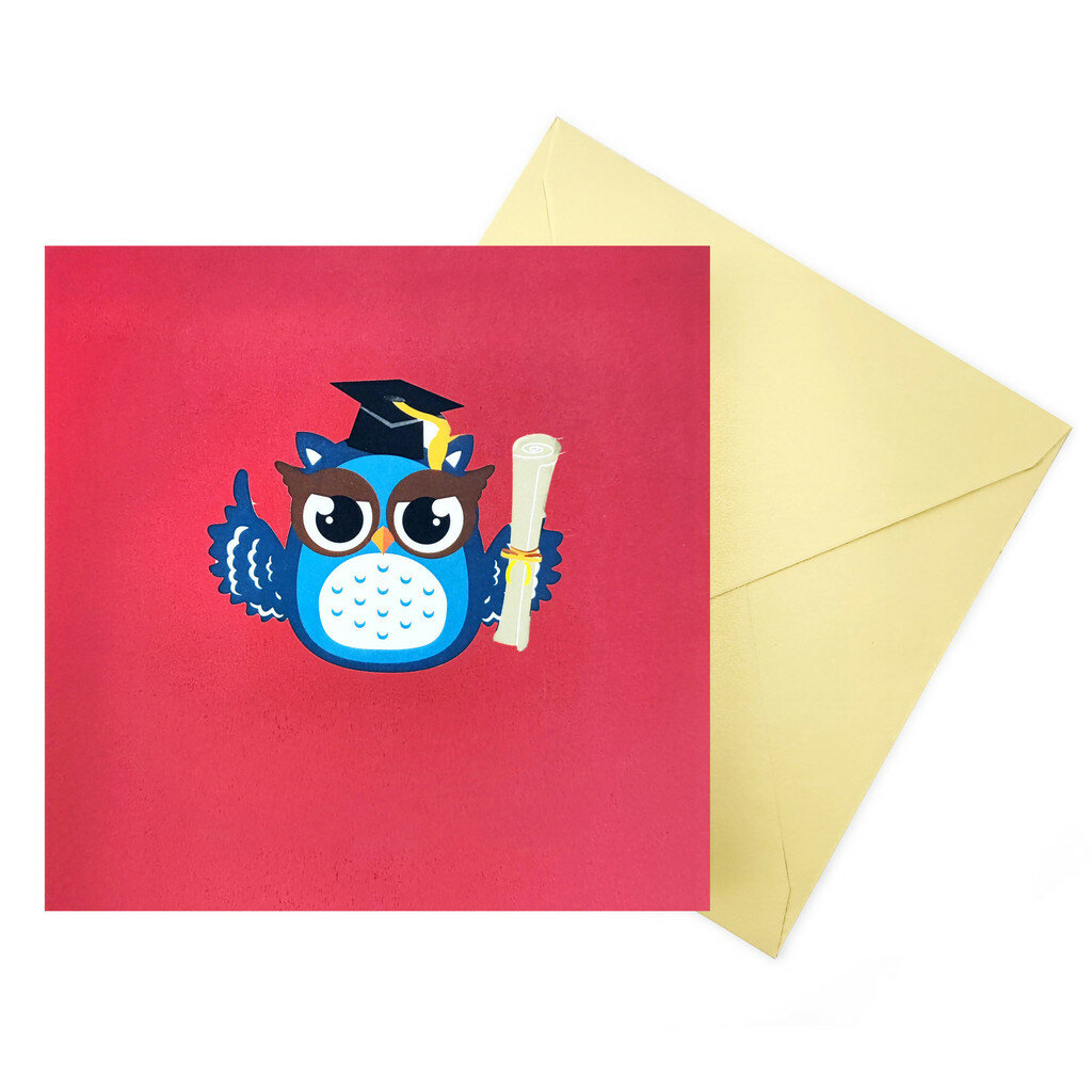 Поздравительная открытка owl doctor handmade 3d pop up college style для выпускных мероприятий