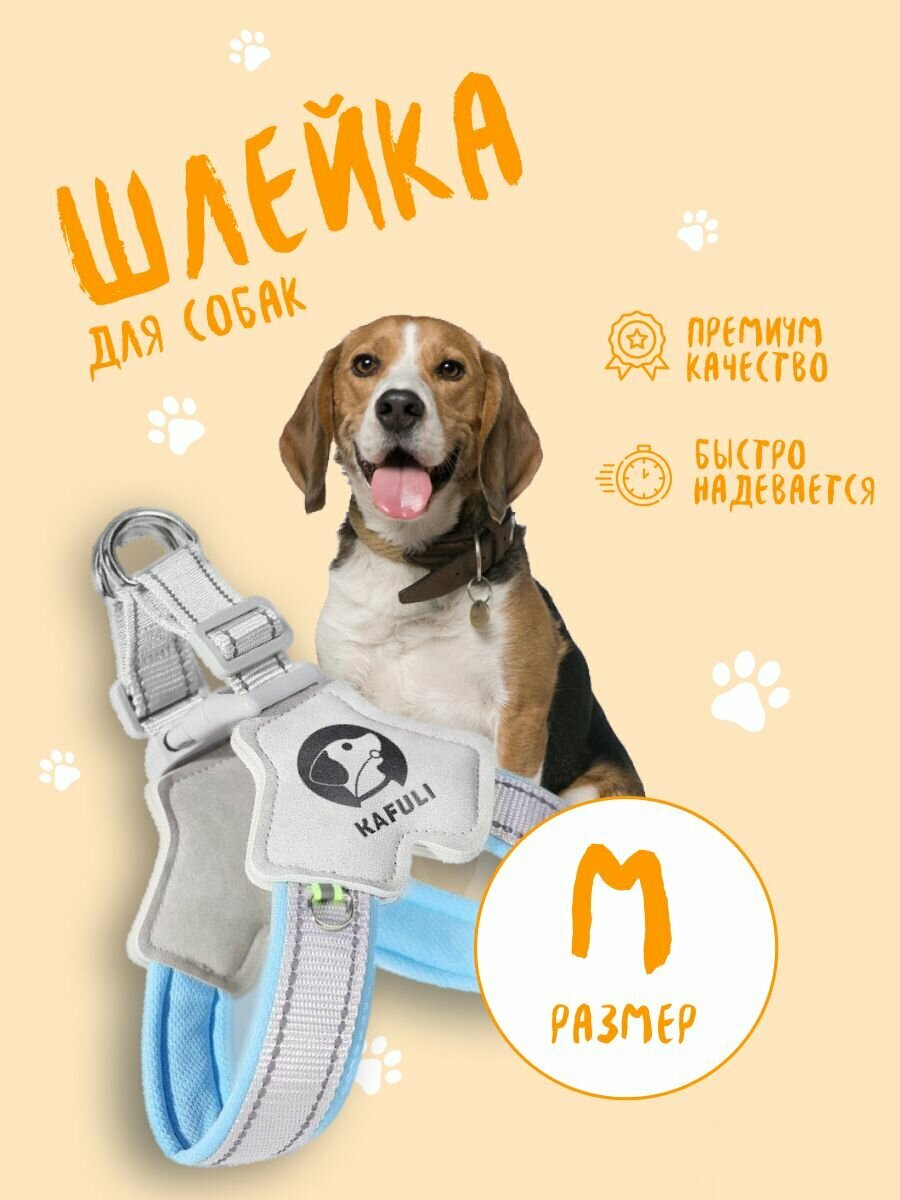 Шлейка для собак голубая до 10кг, со светоотражающим элементом, для средних пород, универсальная, прогулочная.