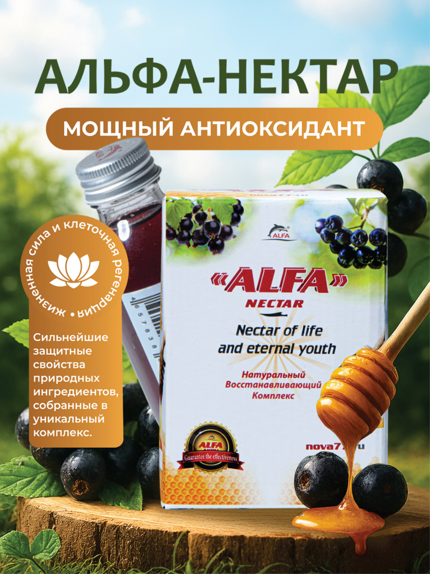 Напиток из натуральных экстрактов и соков "Альфа Нектар" (ALFA-NECTAR), 100 мл (4 х 25 мл)
