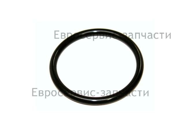 Кольцо уплотнительное крышки бака химикатов PS 226, PS 242, CHAMPION(IGP) 02070020041 02070020041