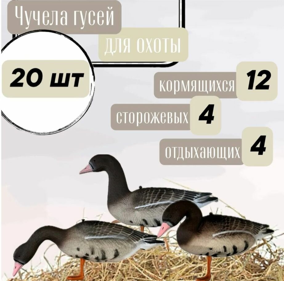 Чучела Гусей Гуменник, Белолобые 20 шт, чучела гусей для охоты, на ножке, сминаемые, XPE, Белолобый Гусь, Гуменник