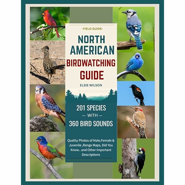 North American Birdwatching Guide: Comprehensive Birding: Male, Female, Juvenile Photos, Sounds, Range Maps, and Fascinating "Did You Know?" Facts. Reprinted books
