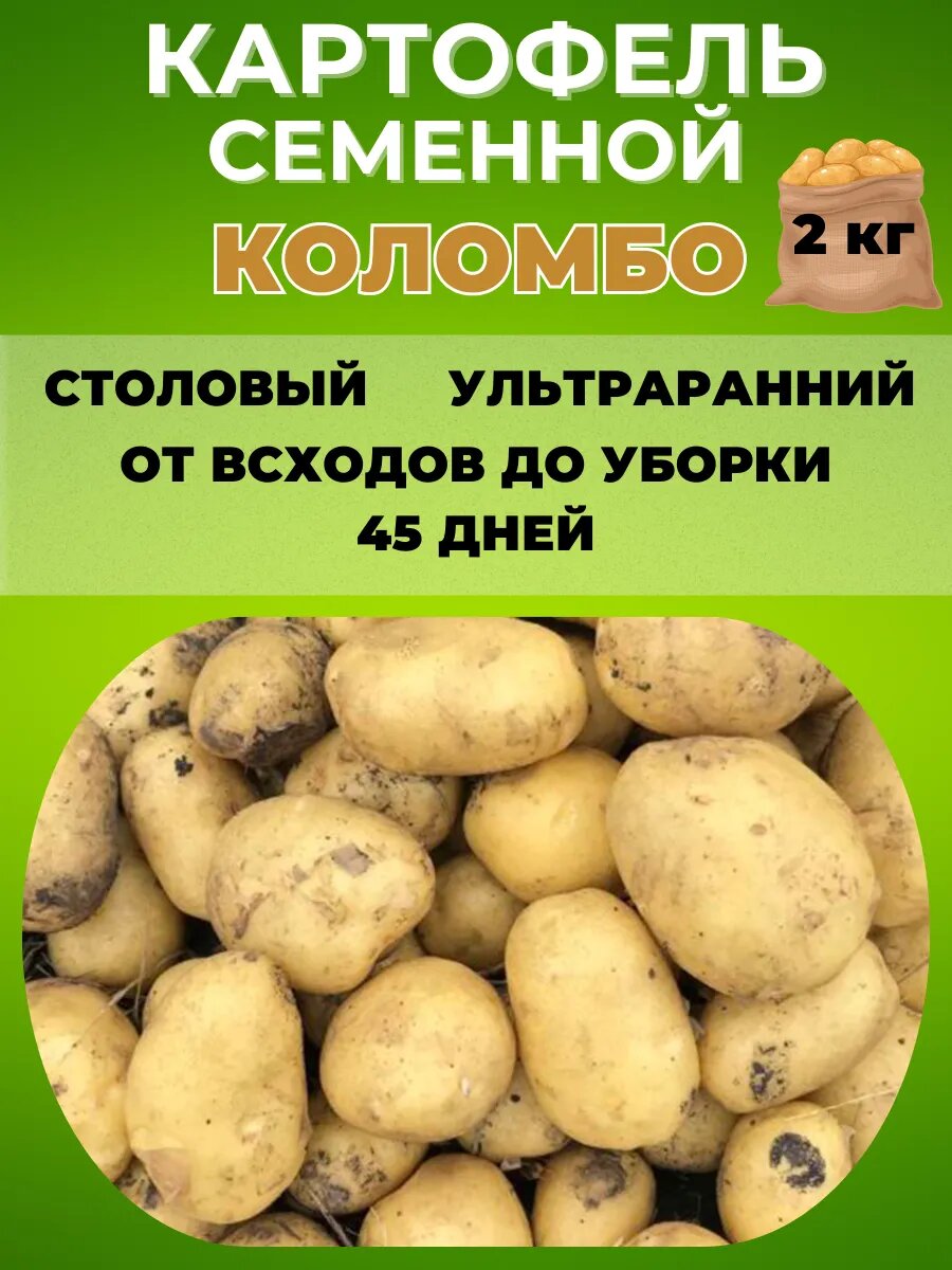 Картофель семенной на посадку, 2 кг
