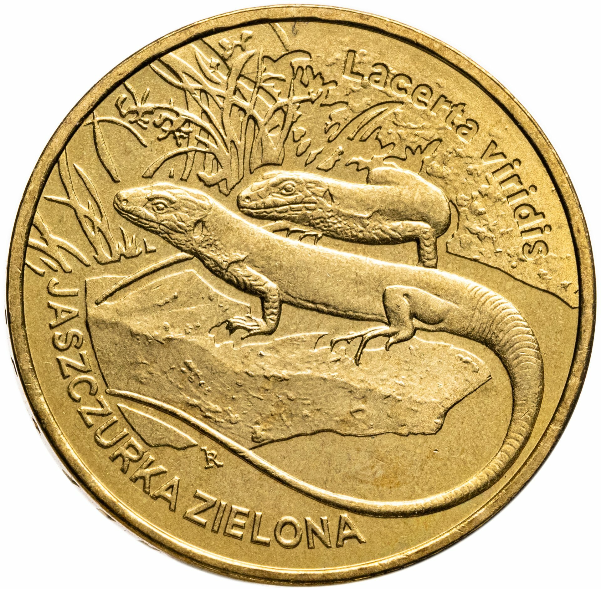 Польша 2 злотых zlote 2009 Всемирная природа - Зелёная ящерица, Латунь, в сохранности UNC