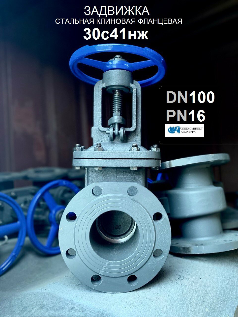 Задвижка 30с41нж стальная фланцевая DN100 PN16 скат