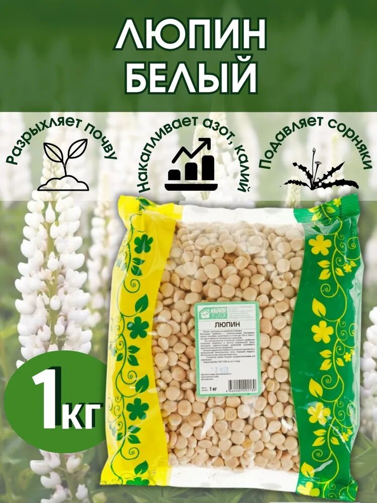 Люпин Белый, семена Зеленый Уголок, 1 кг. Сидерат, зеленое удобрение, цветы