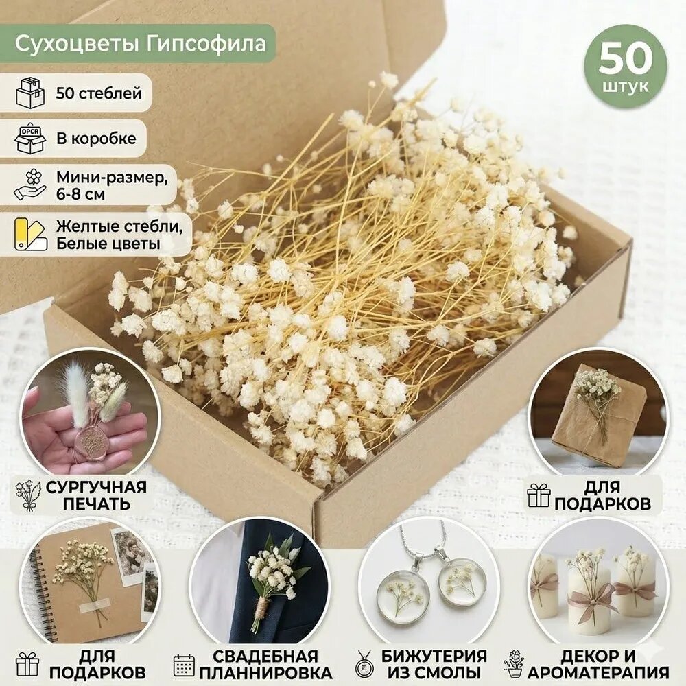 Сухоцветы, 8 см, 50 шт