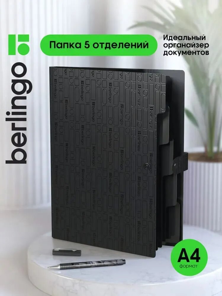 Папка-органайзер, 1 шт.