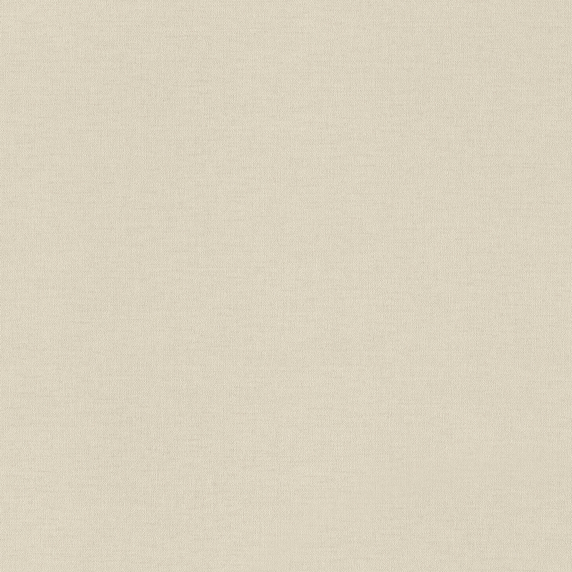Обои Rasch Настенные структуры 4 (Wall Textures XL 4) 971347 винил на флизелине, поверхность матовая, размер рулона 1,06х10,05, Германия