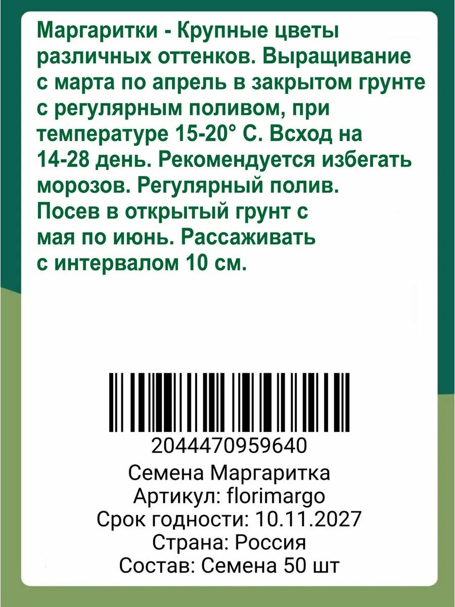 Семена Маргаритка — фото 1