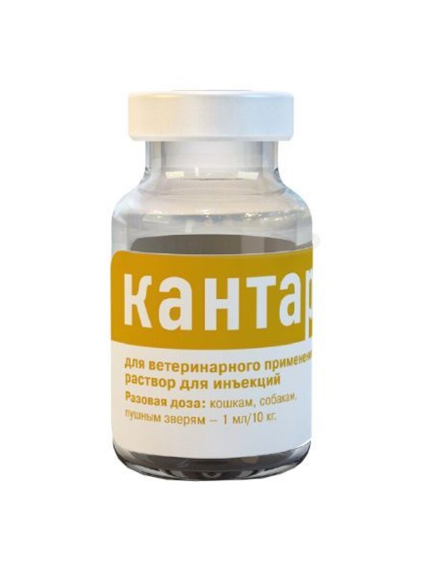 Гомеопатический препарат Хелвет для инъекций Кантарен, при болезнях мочеполовой системы, 10 мл — фото 1